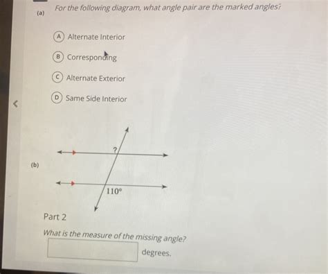 a for the following diagram what angle pair are the marked angles