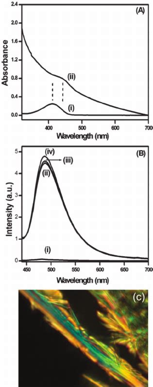 A Binding Of Tht Into The Amyloid Fibrils Of Hydrogel 1 Monitored By Download Scientific