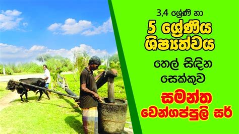 තෙල් සිඳින සෙක්කුව Youtube