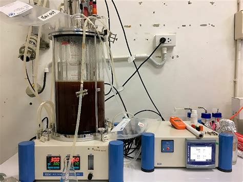 10 L Of Bioreactor For Biohydrogen Synthesis From B E Marubishi Download Scientific Diagram