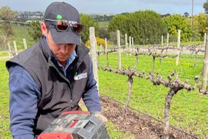 Farmers Wanted For Soil Program Southburnett Com Au