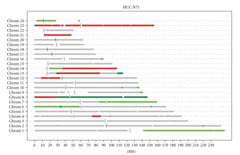 Copy Number States Summarized For All Chromosomes Of Sample N71 Download Scientific Diagram