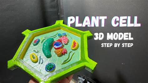 3d plant cell models