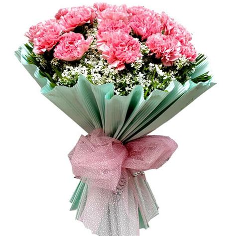 Buysend Lovely Pink Carnations Online Floraindia