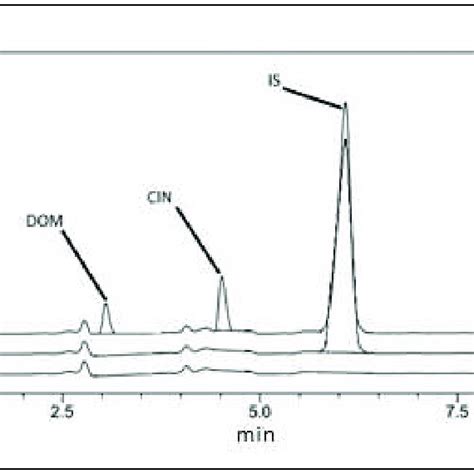 Reverse Phase High Performance Liquid Chromatography Rp Hplc