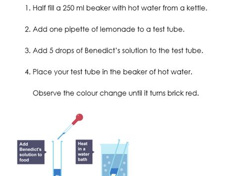 AQA GCSE Food Tests Biology Practical Teaching Resources