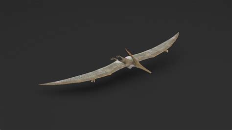 3d Pteranodon Dinosaur Model Turbosquid 2341641
