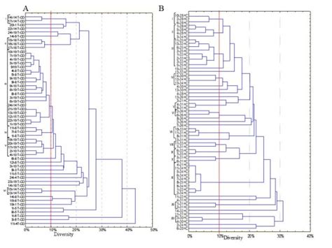 dendrogram of combined rapd patterns for lactobacillus using primer p7 download scientific