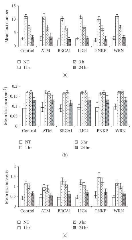 Summaries Of Gene Nssnp Specific Temporal Response Patterns Following