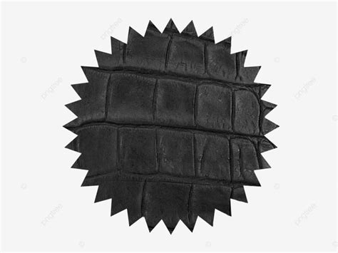 Leather Hide Layer Color Wild Wallpaper PNG Transparent Image And Clipart For Free Download