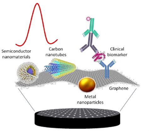 Hybrid 2d Nanomaterials In Electrochemical Immunosensing Of Clinical Biomarkers Atlas Of Science