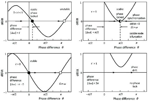 Phase Response Curve Dqdt Vs Q For A Nonuniform Oscillator Download Scientific Diagram