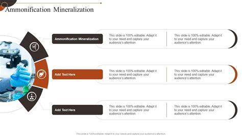 Ammonification Mineralization In Ppt Powerpoint Presentation Slide Templates Cpp PPT Template