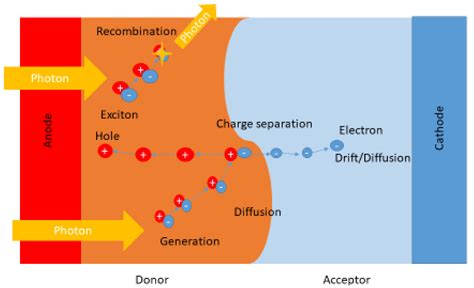Solar Cell Charge Carrier Generation At Stanley Hsieh Blog