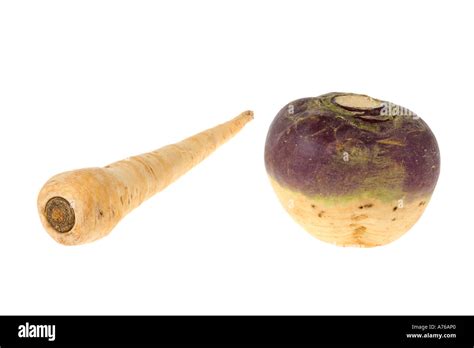 Whole Turnip Aka Swede And Parsnip On A Pure White Background Stock