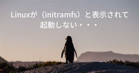Linuxでinitramfsと表示されて起動しない時はexitとfsckで解決 たのいけブログ