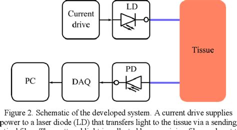 Figure 1 From Potential Of Laser Doppler Flowmetry In The Medical