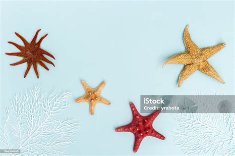 푸른 배경에 바다 별과 산호와 여름 플랫 누워 여름 시간 휴식 개념 0명에 대한 스톡 사진 및 기타 이미지 0명 갑각류 개념 Istock
