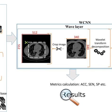 Workflow Overview And The Wcnn Template Download Scientific Diagram