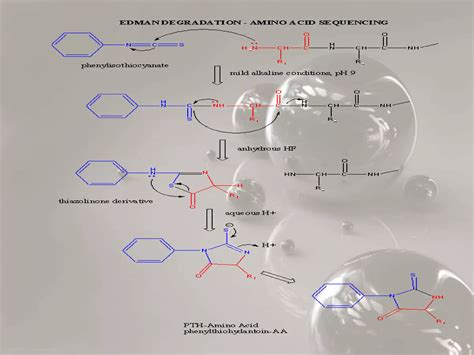 Protein Sequencing Pptx