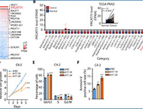 Seuratextend Streamlining Single Cell Rna Seq Analysis Through An