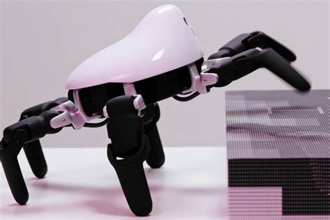 Vincross Hexa Six Legged Programmable Robot