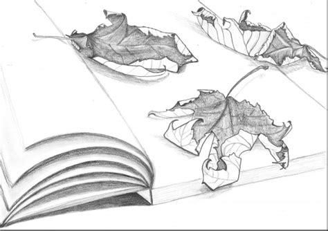 Dead Leaf Drawing At Explore Collection Of Dead Leaf Drawing