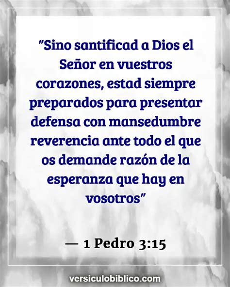 57 Versículos De La Biblia Evangelio