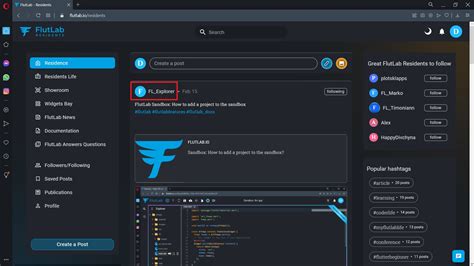 How To Use Sandbox Flutlab Docs