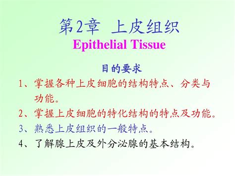 理论课件：上皮组织 Word文档在线阅读与下载 无忧文档