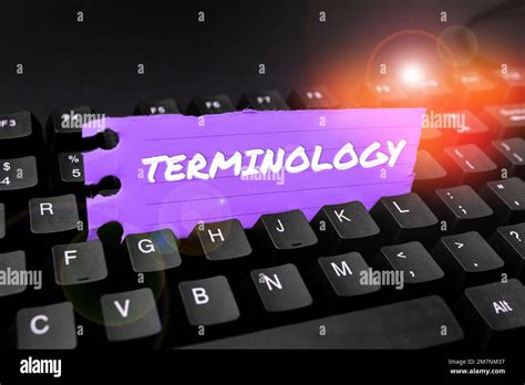 Conceptual Display Terminology Business Idea Terms Used With