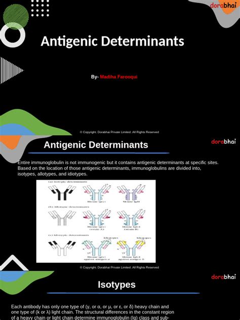 Lec Antigenic Determinants Pdf