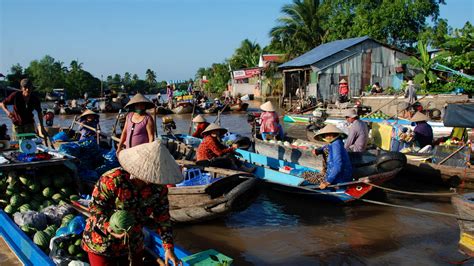 Trade Data Pro Global Import Export Trade Data Saas Platform