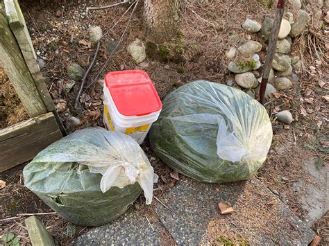 Composting Cat Litter Rcomposting