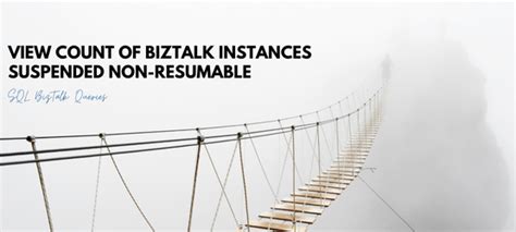 Biztalk Server Monitoring View Count Of Biztalk Instances Suspended Non Resumable Sandro