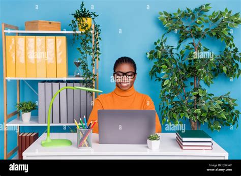 Portrait Of Attractive Cheery Focused Girl Expert Using Laptop Writing Email Letter Isolated