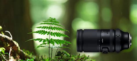 Tamron Lenses For Sony Camera