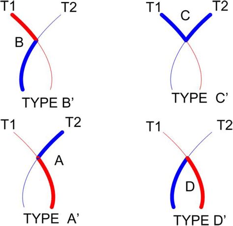 Type Of Nondifferentiable Points On The Path Download Scientific Diagram