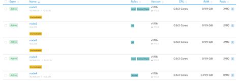 Node Displayed Twice In Kubernetes Cluster Suse Rancher Prime Suse