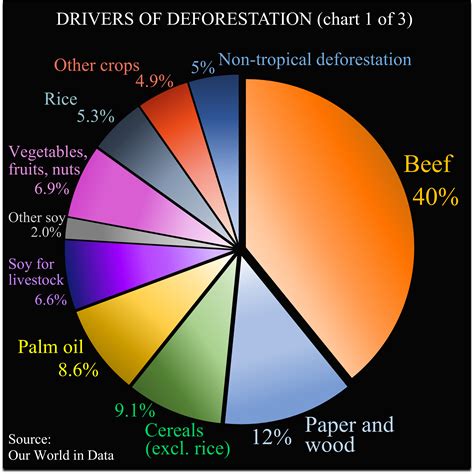 Deforestation Chart 2017 Fires Drove Record Breaking Tropical Forest