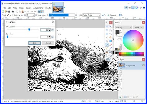 Outline Illustration Paintnet Discussion And Questions Paintnet Forum