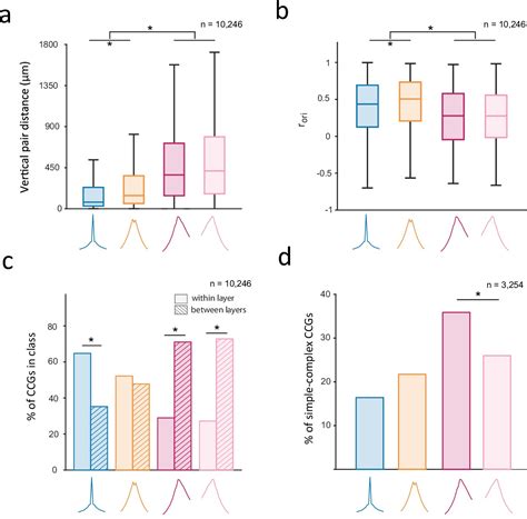 Functional Interactions Among Neurons Within Single Columns Of Macaque V1 Elife