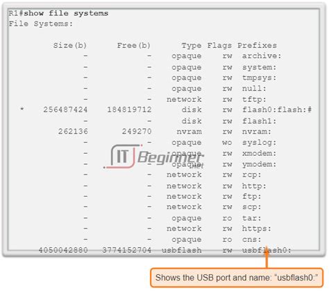 Introduction To Networks Instructor Materials Chapter 11 Its A Network