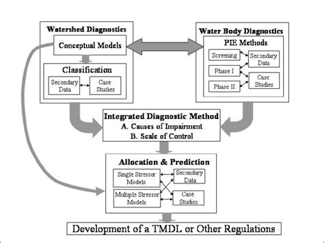 Generalized Critical Path For Diagnostics Research Showing Role Of Download Scientific Diagram