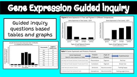 Gene Expression Inquiry Graphs By Rachel Taylor Tpt
