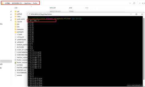 flutter sdk安装、切换版本及常见问题整理 fluttersdk csdn博客