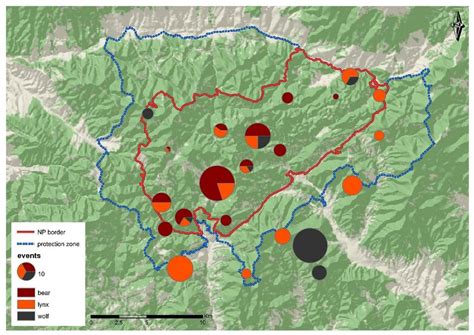 Spatial Distribution Of Large Carnivores Within The Area Of The