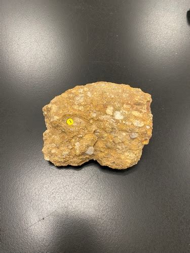 Sedimentary Rocks Flashcards Quizlet Sedimentary Rocks Flashcards Quizlet