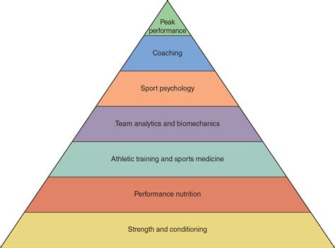 what do sport performance professionals do human kinetics canada