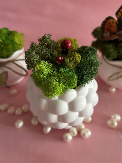 Кашпи със скандинавски мъх Друго ръчна изработка Ръчно изработени Кокетни кашпички със